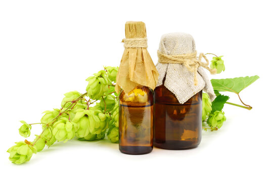 รูปภาพHumulus – เลือกดูภาพถ่ายสต็อก เวกเตอร์ และวิดีโอ18,735 | Adobe Stock