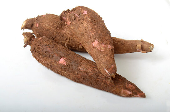 รูปภาพBalinghoy – เลือกดูภาพถ่ายสต็อก เวกเตอร์ และวิดีโอ22,450 | Adobe ...