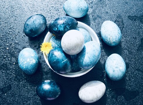 รูปภาพ"Blue Eggs" – เลือกดูภาพถ่ายสต็อก เวกเตอร์ และวิดีโอ946 | Adobe Stock