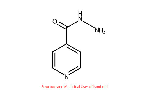 รูปภาพAzuren – เลือกดูภาพถ่ายสต็อก เวกเตอร์ และวิดีโอ394 | Adobe Stock