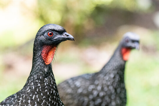 รูปภาพJacu – เลือกดูภาพถ่ายสต็อก เวกเตอร์ และวิดีโอ126 | Adobe Stock