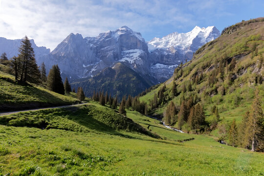 Seeli-Bilder: Stock-Fotos & -Videos. | Adobe Stock