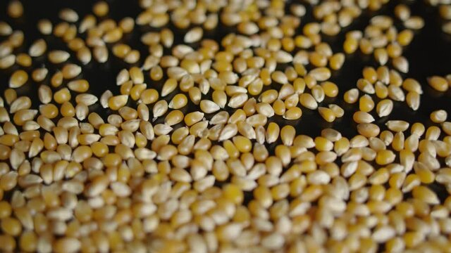 Cernel Images – Browse 45 Stock Photos, Vectors, and Video | Adobe Stock