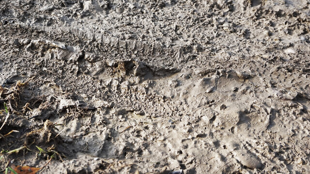 Matsch-Bilder: Stock-Fotos & -Videos. | Adobe Stock