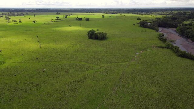 "Llanos Orientales"-Bilder: Stock-Fotos & -Videos. | Adobe Stock