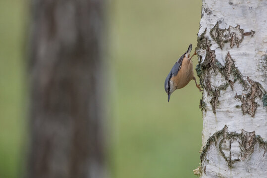 Reto photos, images, assets | Adobe Stock