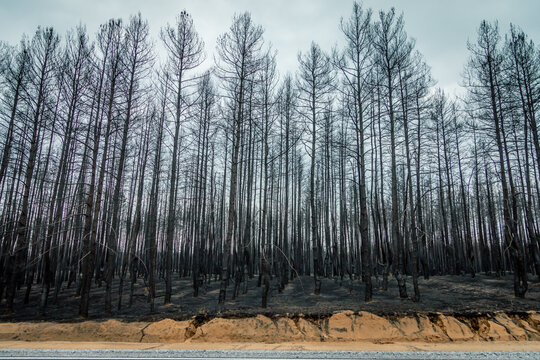 Imagens de Catastrophy – Explore Fotografias do Stock, Vetores e Vídeos ...