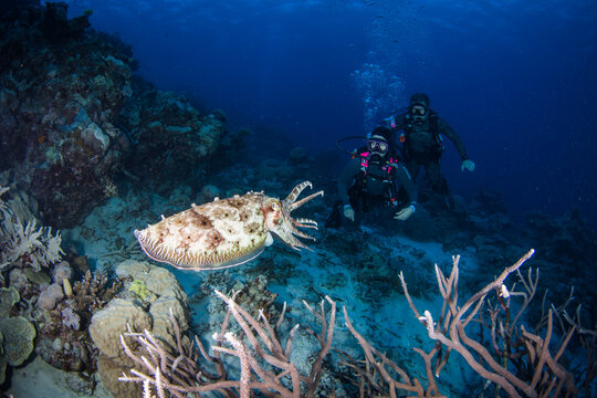 Jemma Craig photos, images, assets | Adobe Stock