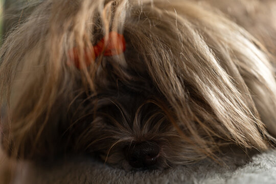 Hava bilder – Bläddra bland 3,691 stockfoton, vektorer och videor ...