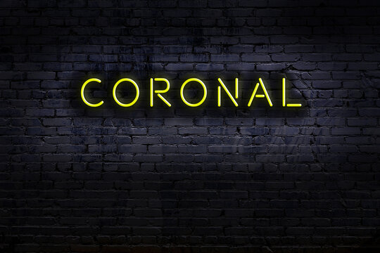 รูปภาพCoronal – เลือกดูภาพถ่ายสต็อก เวกเตอร์ และวิดีโอ5,962 | Adobe Stock