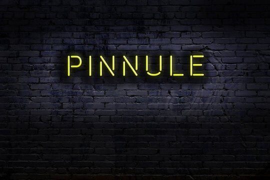 「Pinnule」の写真素材 | 264件の無料イラスト画像 | Adobe Stock
