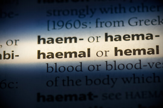 Haemal Images – Browse 180 Stock Photos, Vectors, and Video | Adobe Stock