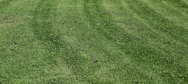 「Tondu」の写真素材 | 268件の無料イラスト画像 | Adobe Stock