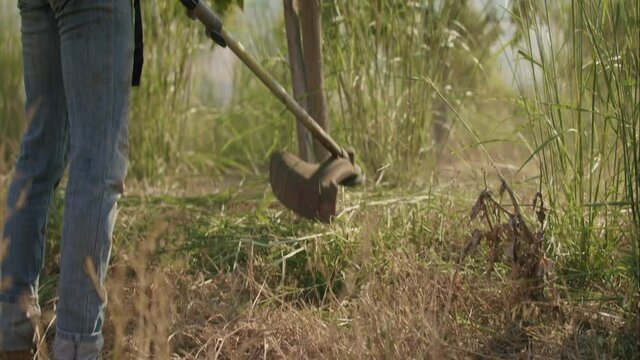 "Weed Whacker" Images – Browse 68,938 Stock Photos, Vectors, and Video ...