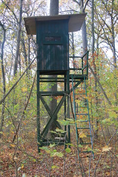 Jagdsitz Images – Parcourir 557 le catalogue de photos, vecteurs et ...