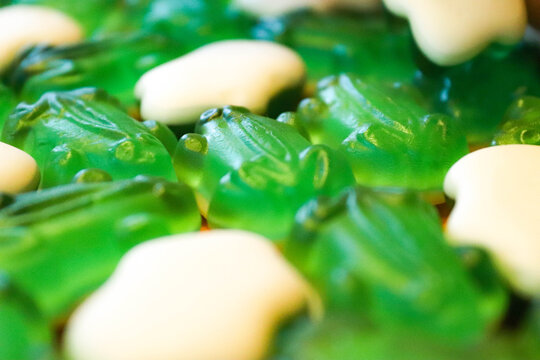 Froscheier Bilder – Durchsuchen 547 Archivfotos, Vektorgrafiken und ...