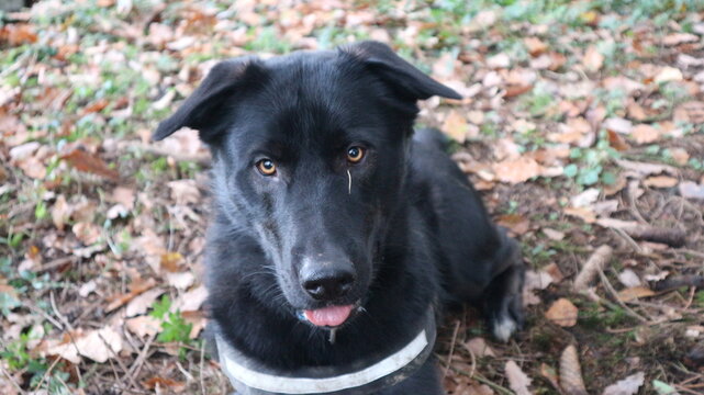 Scheusal bilder – Bläddra bland 339 stockfoton, vektorer och videor ...