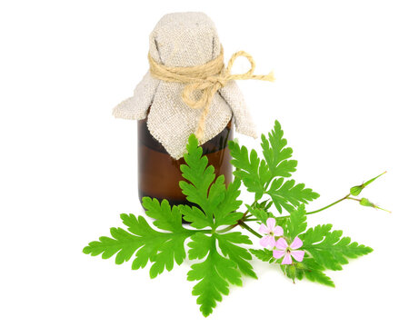 Pinwing 이미지 – 찾아보기 196 스톡 사진, 벡터 및 비디오 | Adobe Stock