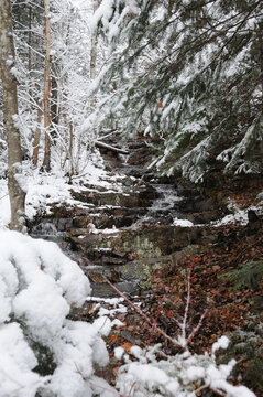 "Winter Scenes" Bilder – Durchsuchen 571 Archivfotos, Vektorgrafiken ...