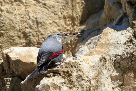 Daniel Dunca photos, images, assets | Adobe Stock