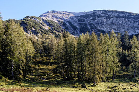 「Seekar」の写真素材 | 677件の無料イラスト画像 | Adobe Stock