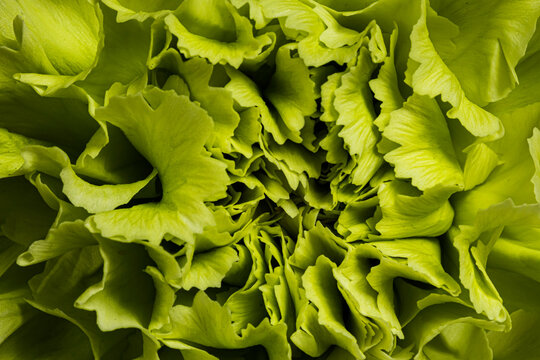 Anjer Images – Browse 40 Stock Photos, Vectors, and Video | Adobe Stock