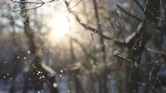 "Flying Snow" Images – Browse 275 Stock Photos, Vectors, and Video ...