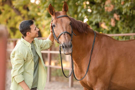 "Equine Therapy" Images – Browse 1,899 Stock Photos, Vectors, and Video ...