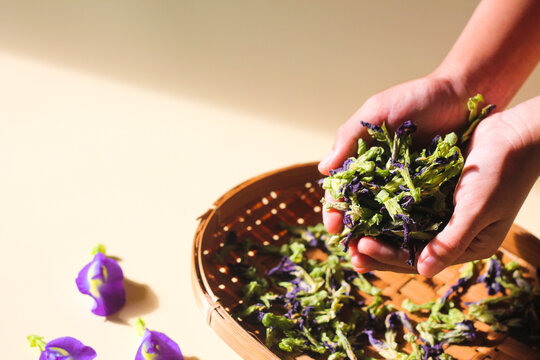 "Bunga Telang" Images – Browse 167 Stock Photos, Vectors, and Video ...