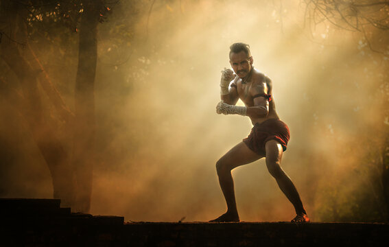 Bokator Bilder – Durchsuchen 152 Archivfotos, Vektorgrafiken und Videos ...