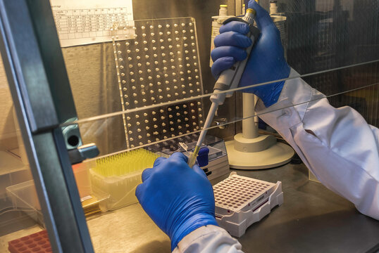 Rt-Pcr Images – Parcourir 876 le catalogue de photos, vecteurs et ...