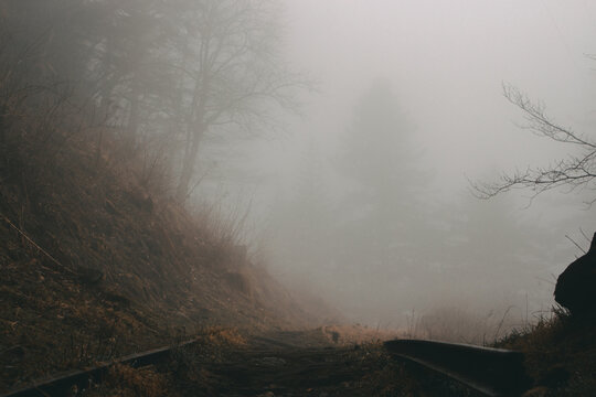 "Cinematic Background" Images – Browse 813 Stock Photos, Vectors, and ...