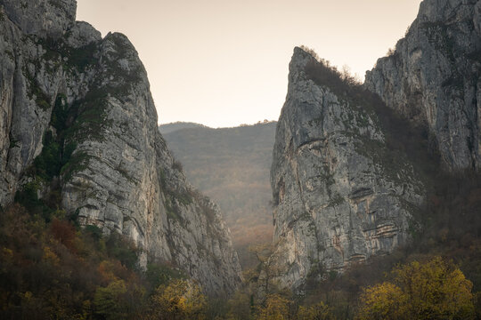 Jerma Images – Browse 165 Stock Photos, Vectors, and Video | Adobe Stock