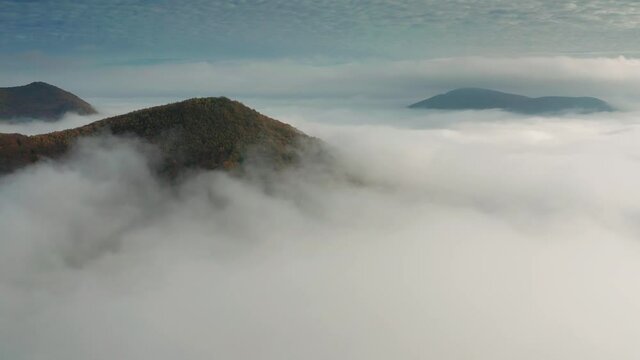 Fuzer Images – Browse 198 Stock Photos, Vectors, and Video | Adobe Stock