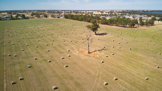 Crop Australia Bilder – Durchsuchen 10,495 Archivfotos, Vektorgrafiken ...