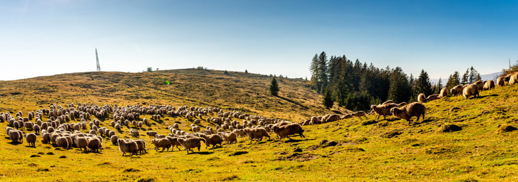 รูปภาพNovaci – เลือกดูภาพถ่ายสต็อก เวกเตอร์ และวิดีโอ189 | Adobe Stock