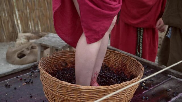 Grape-Stomping Images – Browse 227 Stock Photos, Vectors, and Video ...