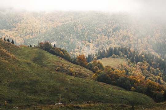รูปภาพFatra – เลือกดูภาพถ่ายสต็อก เวกเตอร์ และวิดีโอ8,207 | Adobe Stock