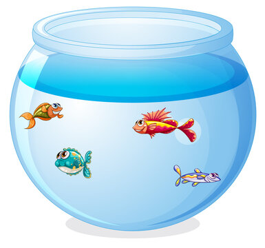Goldfish Bowl Clip Art