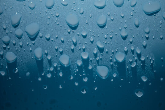 Mokry Bilder – Durchsuchen 7,477 Archivfotos, Vektorgrafiken und Videos ...