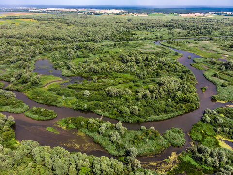 Dorzecze Bilder – Durchsuchen 36 Archivfotos, Vektorgrafiken und Videos ...