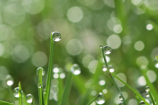 Drop Images – Browse 3,795,945 Stock Photos, Vectors, and Video | Adobe ...