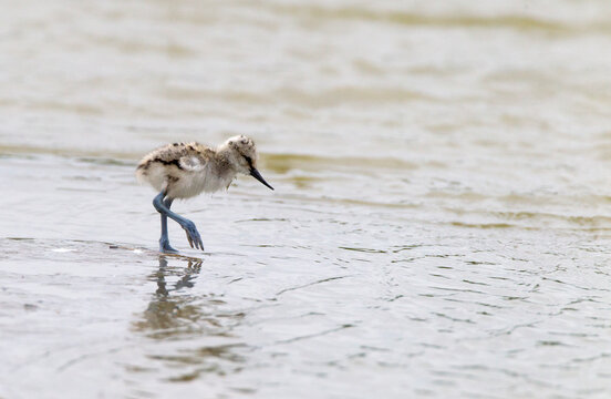 รูปภาพKluut – เลือกดูภาพถ่ายสต็อก เวกเตอร์ และวิดีโอ534 | Adobe Stock