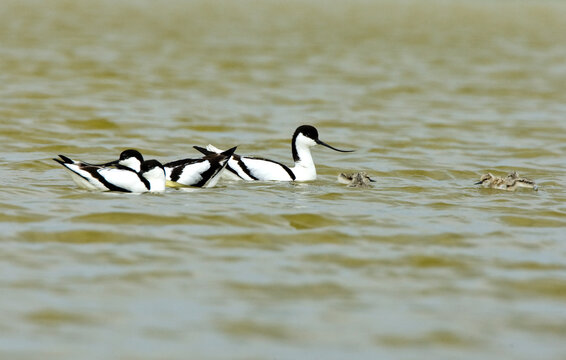 รูปภาพKluut – เลือกดูภาพถ่ายสต็อก เวกเตอร์ และวิดีโอ394 | Adobe Stock