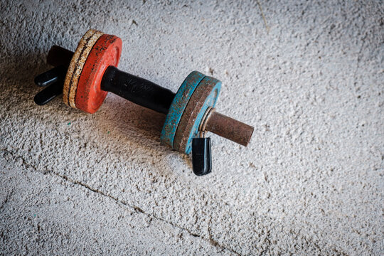 Untrained Images – Browse 535 Stock Photos, Vectors, and Video | Adobe ...