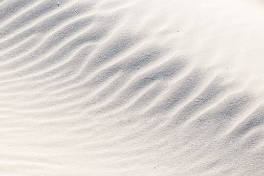 Sand-Hill bilder – Bläddra bland 912 stockfoton, vektorer och videor ...