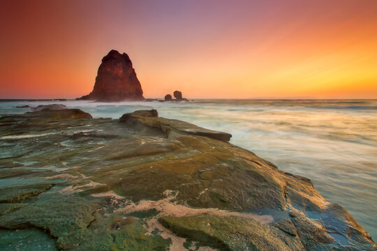 Imagens de Papuma – Explore Fotografias do Stock, Vetores e Vídeos de ...