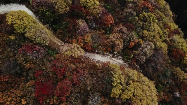 「Solagna」の写真素材 | 29件の無料イラスト画像 | Adobe Stock