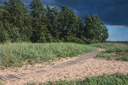 "Ecological Path"-Bilder: Stock-Fotos & -Videos. | Adobe Stock