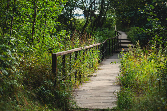 "Ecological Path"-Bilder: Stock-Fotos & -Videos. | Adobe Stock